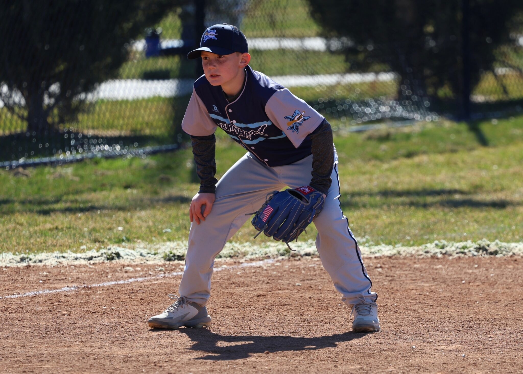Skills & Development – Bull Shark Baseball
